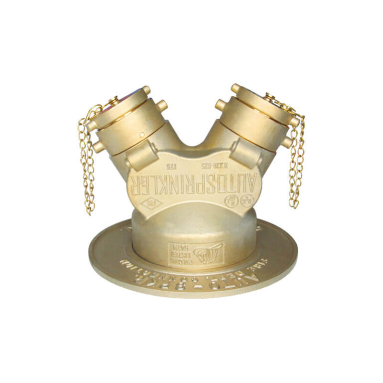 Exposed fire department inlet connection (FDC) - TPMCSTEEL