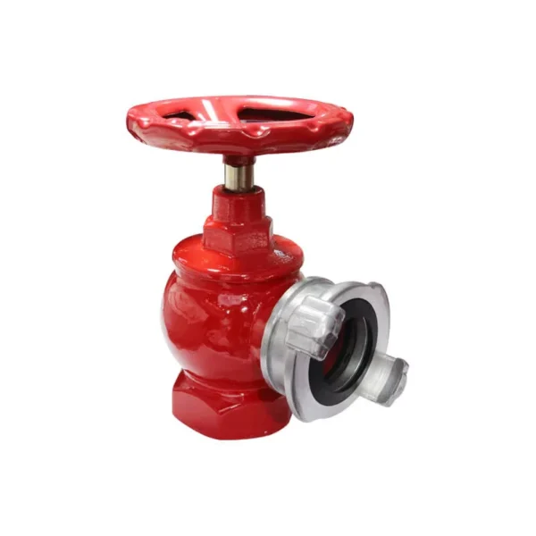 DSP outlet angle type landing valve - TPMCSTEEL