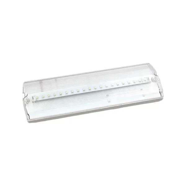 Self-contained waterproof non-maintained bulkhead emergency light
